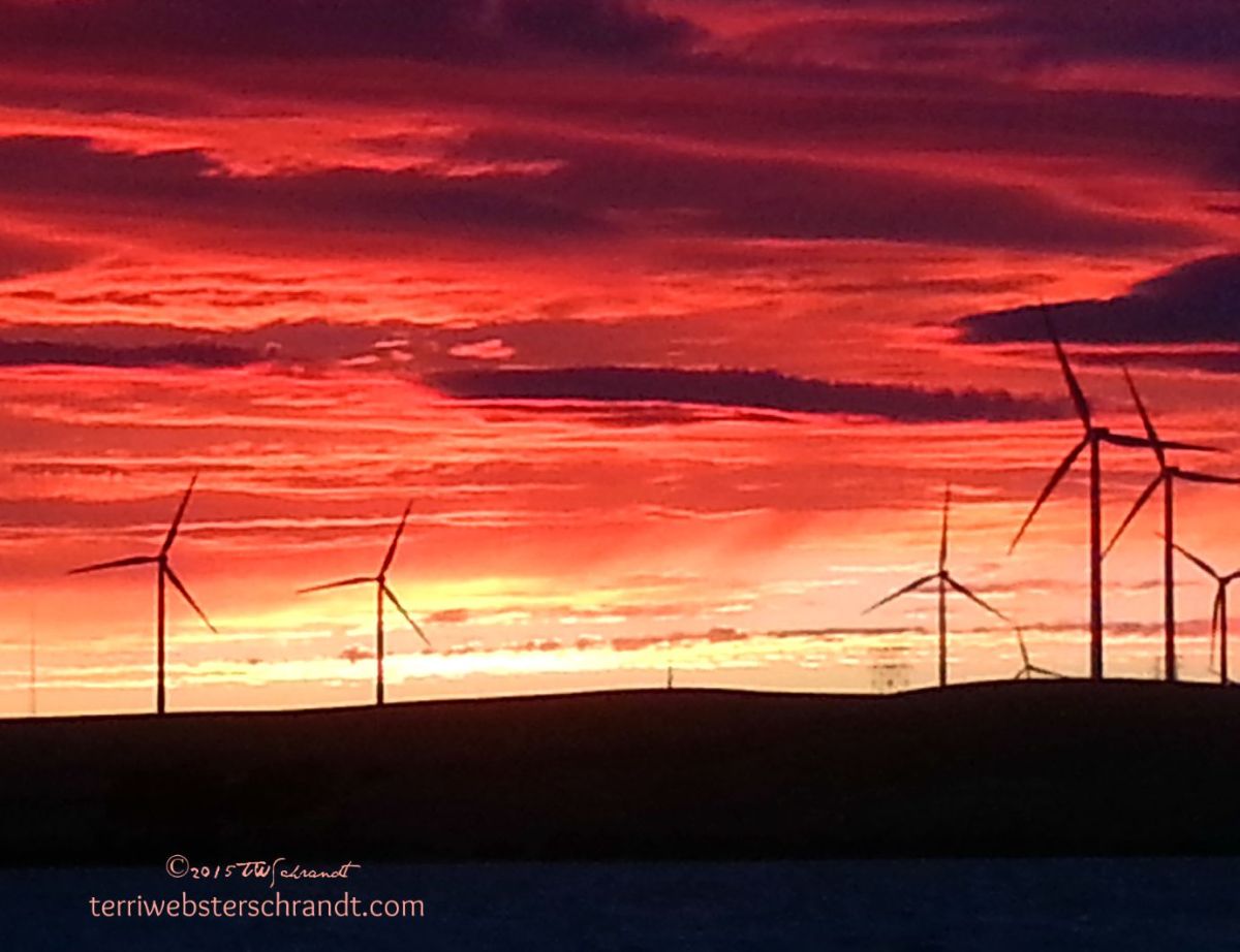 Rosy Sunset – Second Wind Leisure Perspectives
