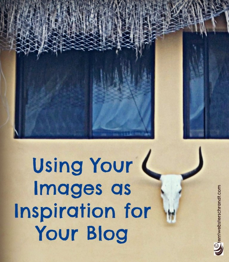 How to Use Your Photos to Generate Blog Ideas and Readers – Second Wind ...