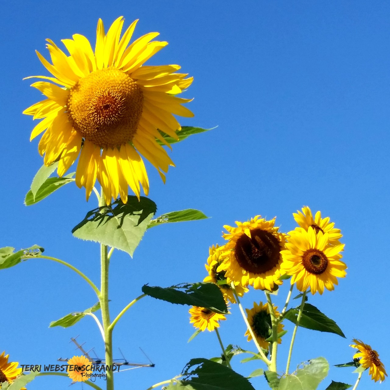 No Excuses Fitness: Exercising with a Cast – Second Wind Leisure ...