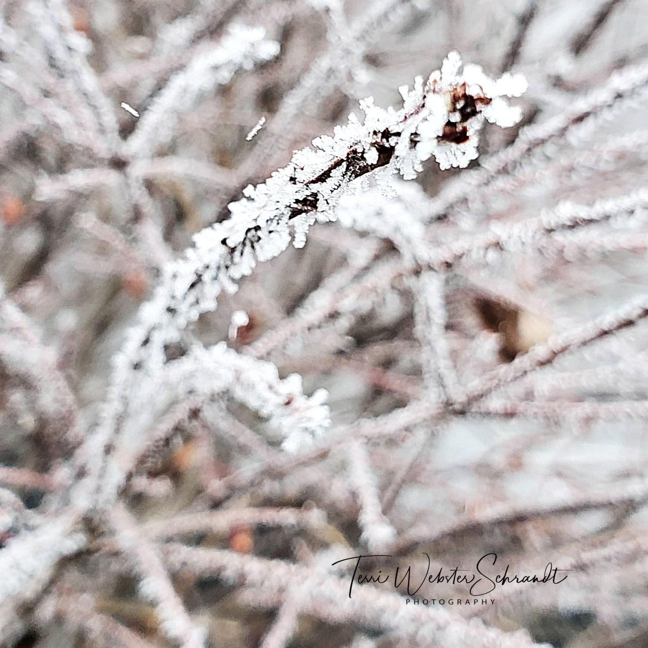 Sunday Stills: December #Chill is in the Air – Second Wind Leisure ...