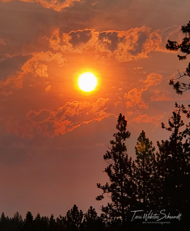 Sunday Stills: Your Daily Dose of Sunrise and Sunset – Second Wind ...