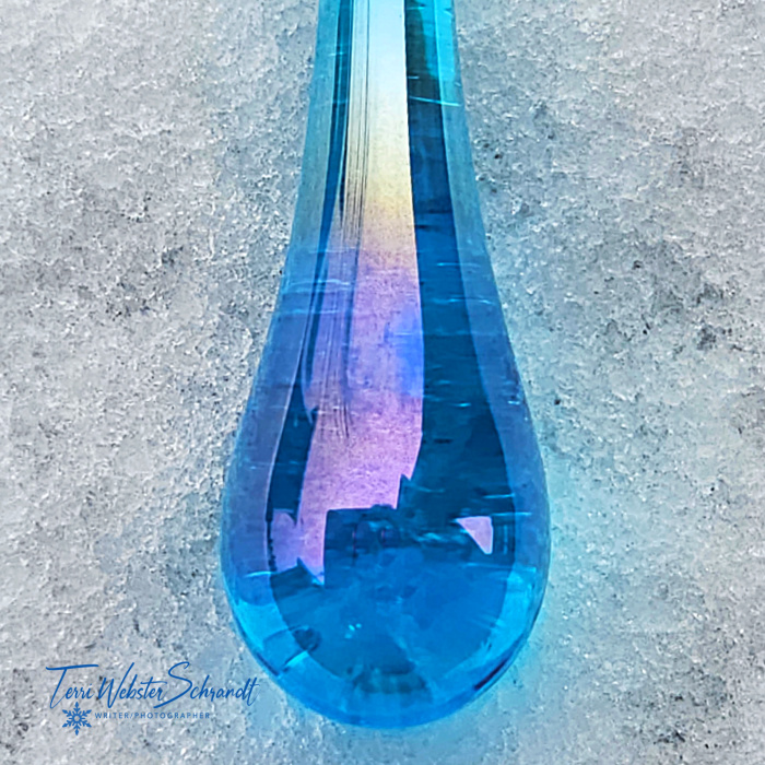 Sunday Stills Monthly Color Challenge: Putting the Aqua in Marine and ...