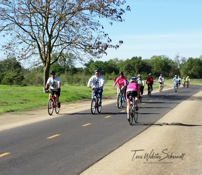 Sunday Stills: I Like to Ride My #Bike – Second Wind Leisure Perspectives